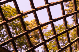 Adding Trellis To Existing Fence - Sefton Meadows Blog