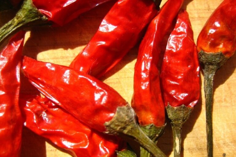 How to Dry Chillies - Sefton Meadows Blog