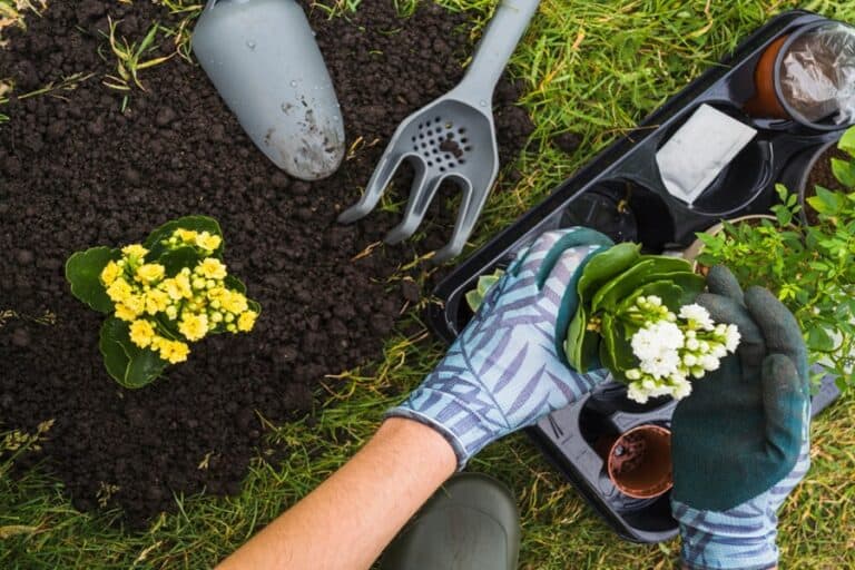 7 Garden Border Ideas and Planting Schemes - Sefton Meadows Blog